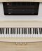 Soaring Sound: Meet the Piano of the Future, the Roland 50th ...